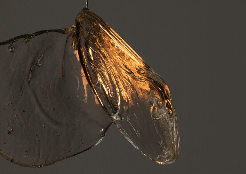 141.1 Random – White Canopy + Clear Glass | The Future Perfect