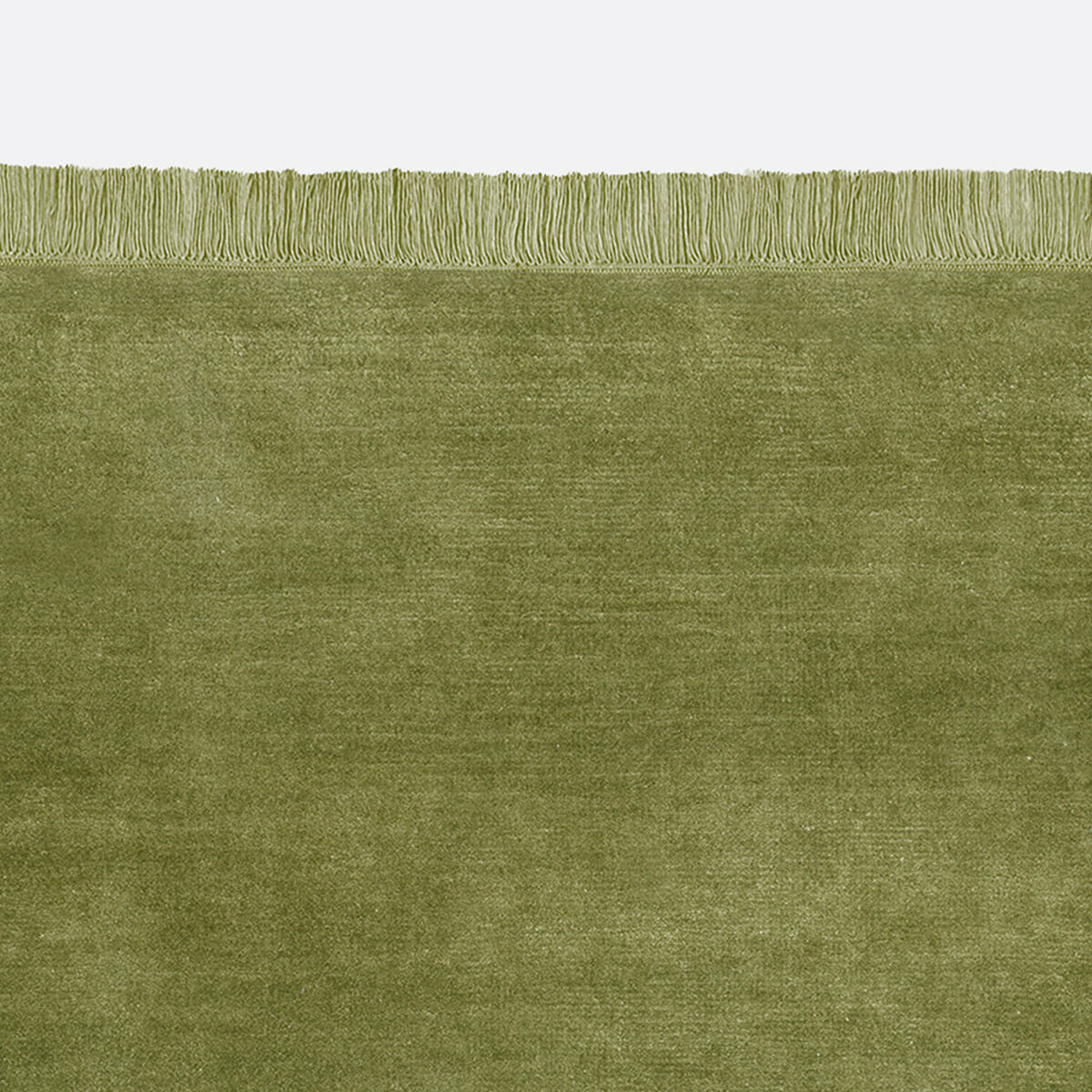 Icon Coloured Fringes – 2424 | The Future Perfect