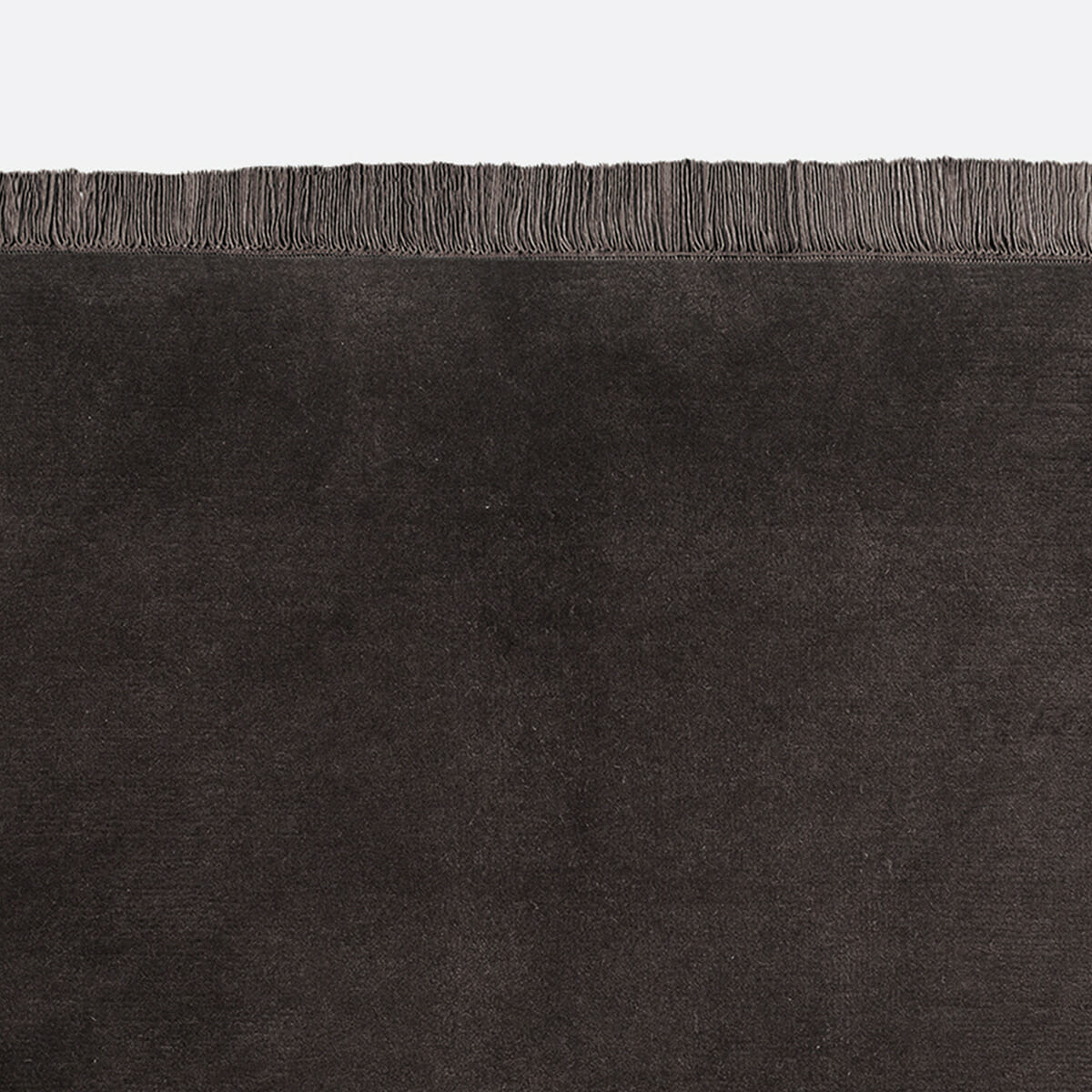 Icon Coloured Fringes – 2626 | The Future Perfect