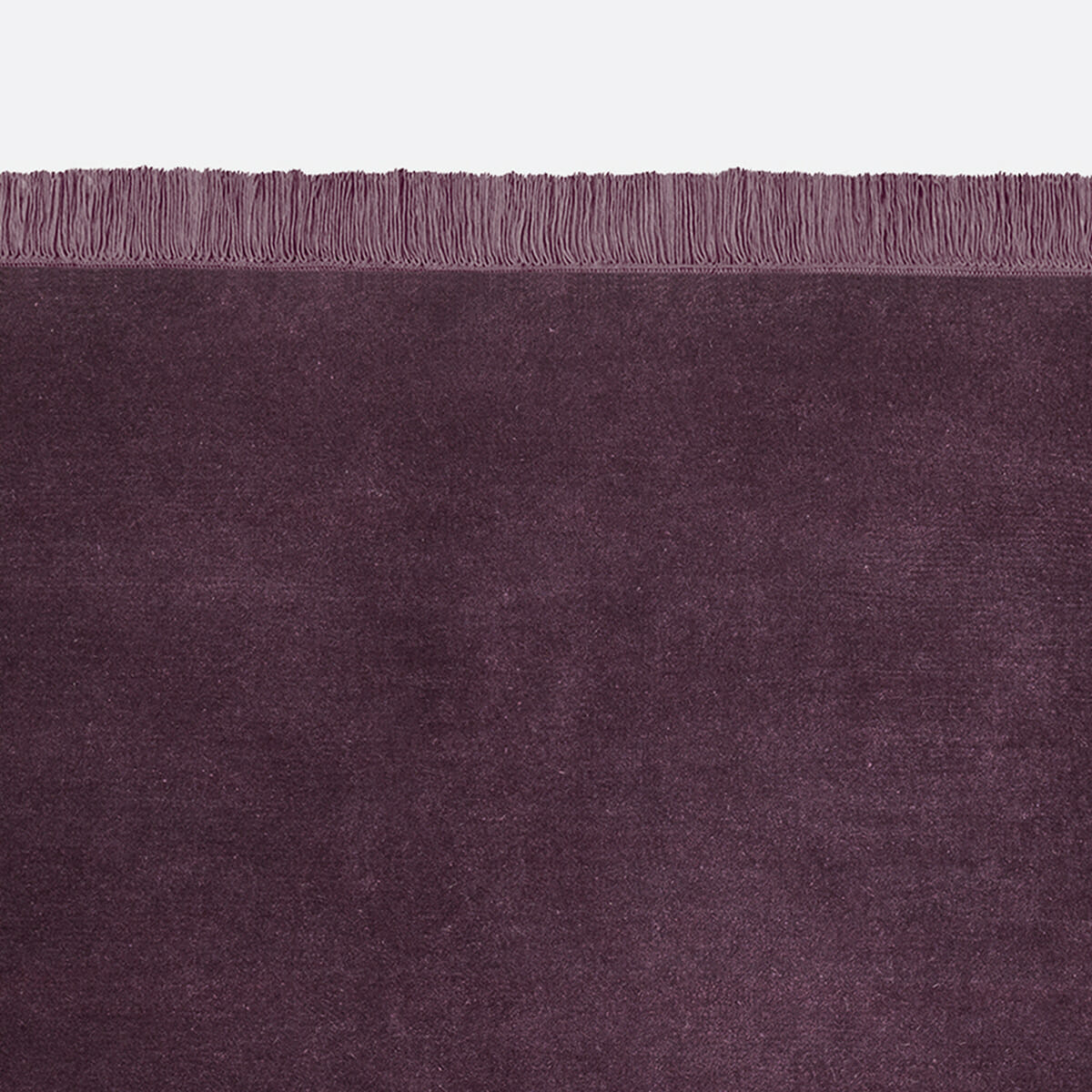 Icon Coloured Fringes – 3030 | The Future Perfect