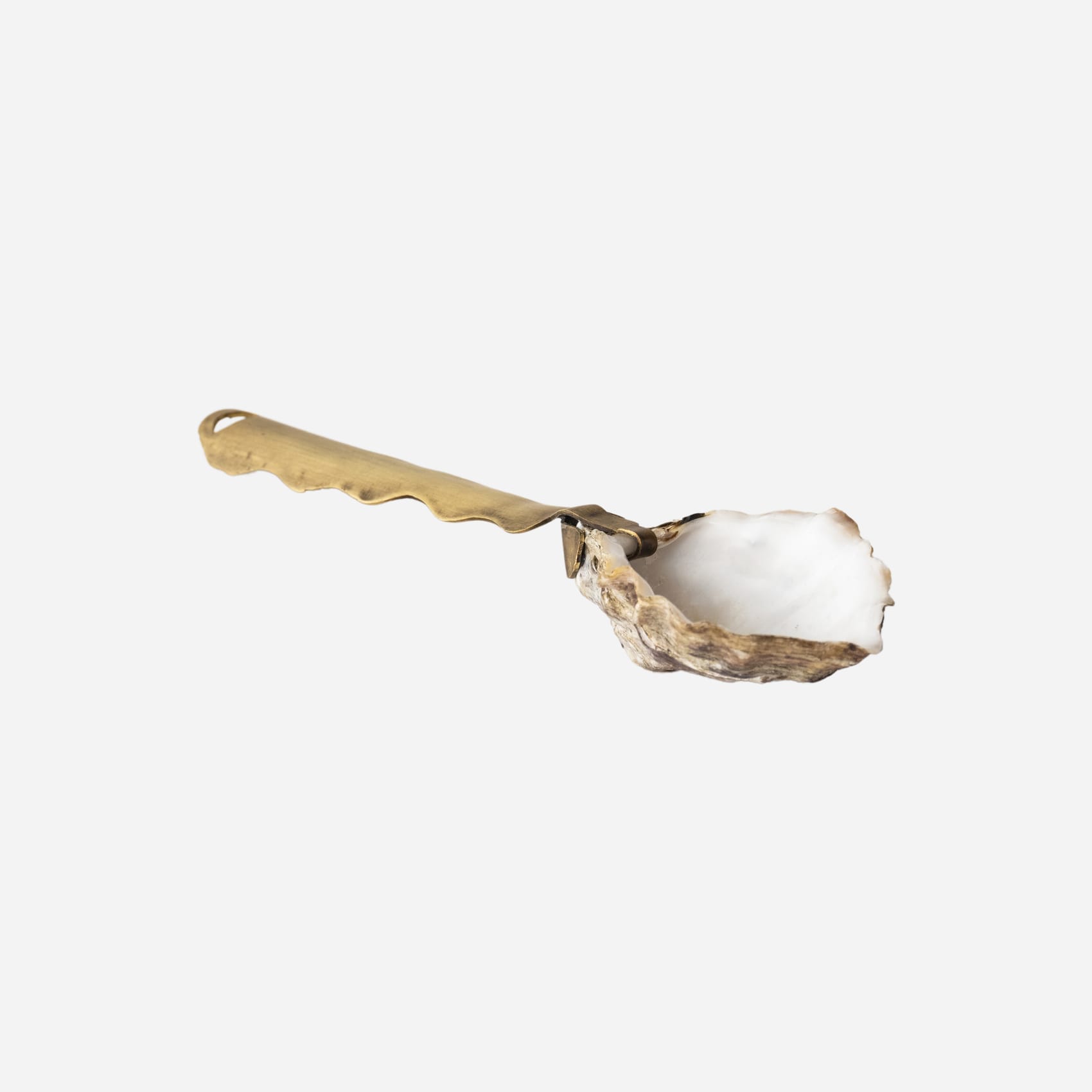 Brass Oyster Shell Spoon | Alana Burns | The Future Perfect