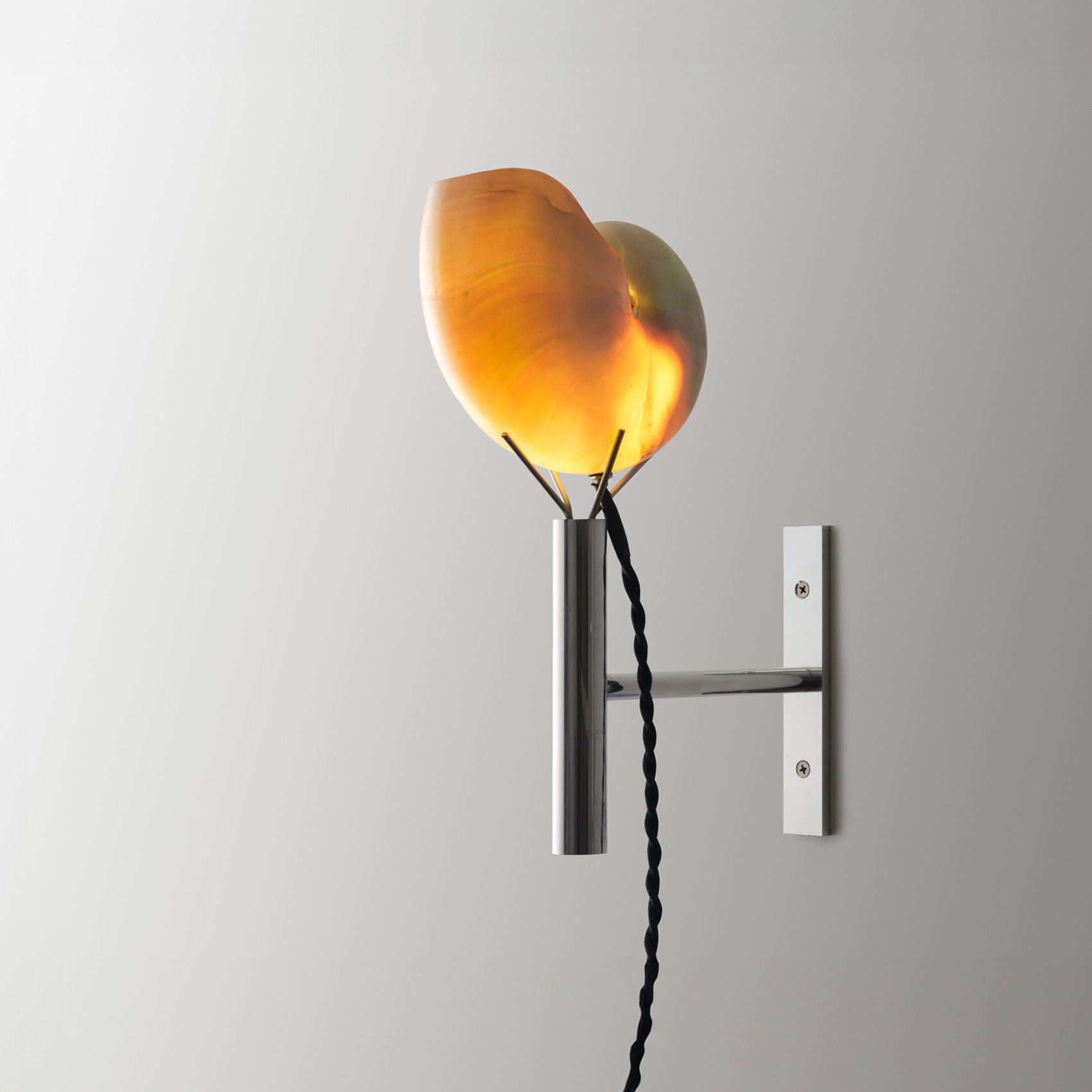 Nautilus Shell Sconce 2 | Charlap Hyman & Herrero | The Future Perfect