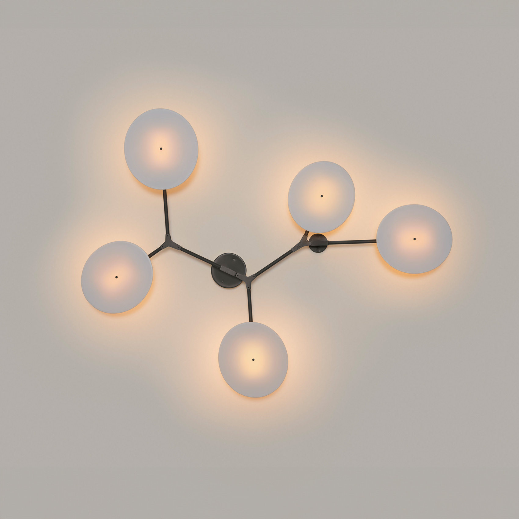 5-Bulb Branching Disc Flush Mount SC.05.01 | Lindsey Adelman | The ...
