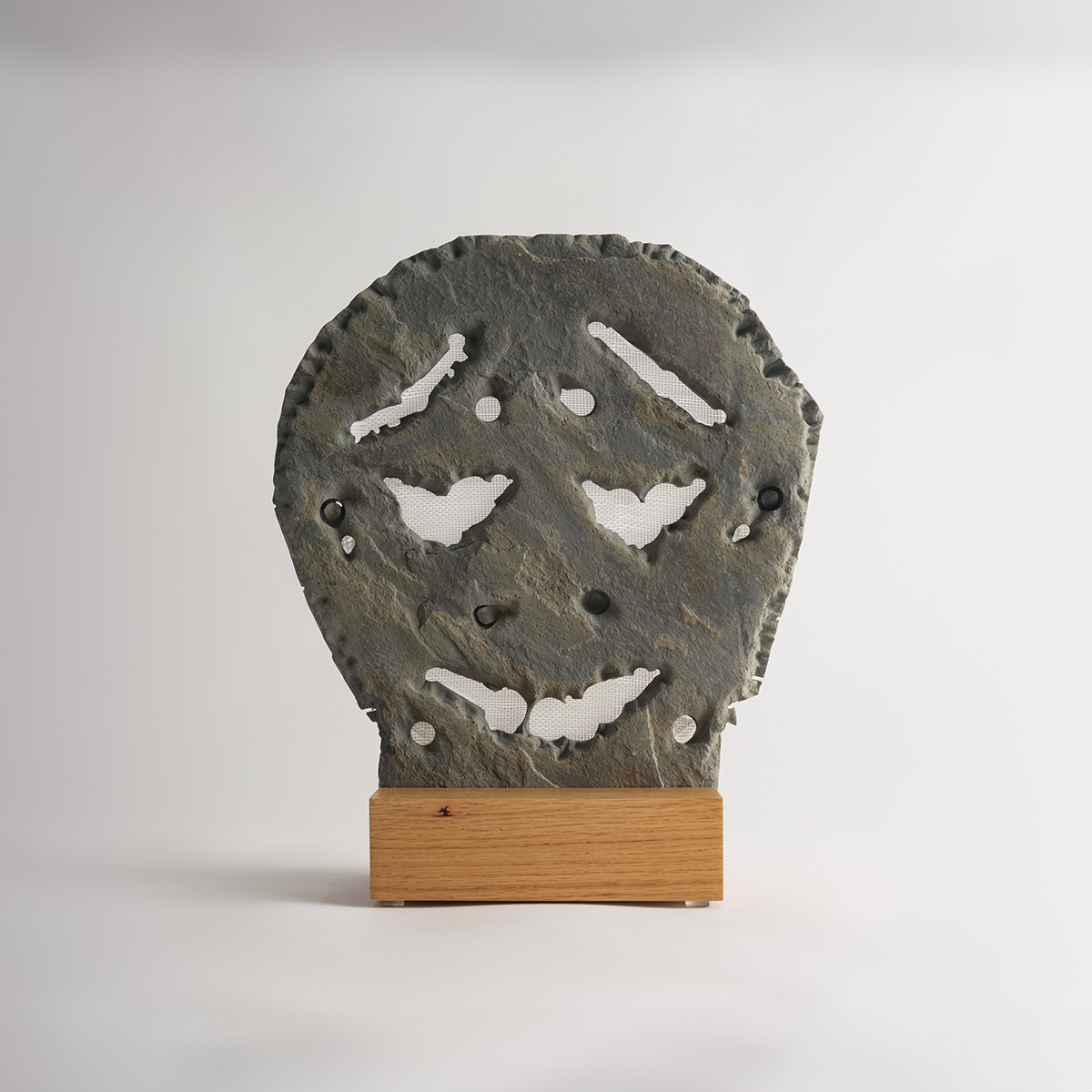 Mask 10 | Chen Chen & Kai Williams | The Future Perfect