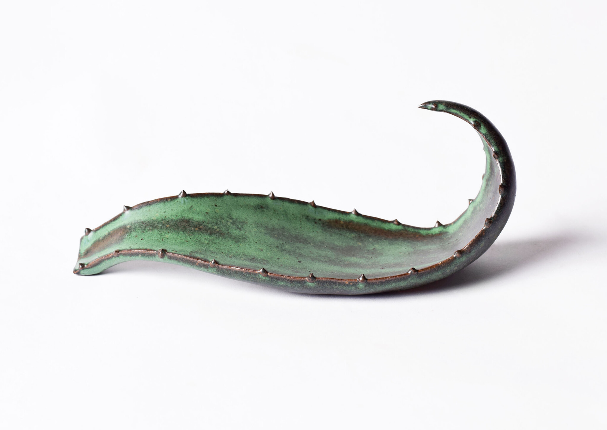 Aloe Leaf – Green | Eric Roinestad | The Future Perfect